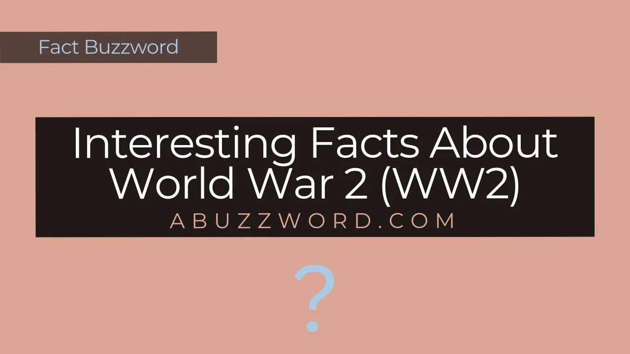 Facts About WW2 You Probably Didn’t Learn in School - ABuzzword