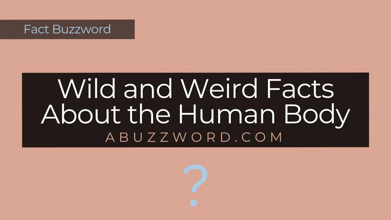 Wild and Weird Facts About the Human Body - ABuzzword